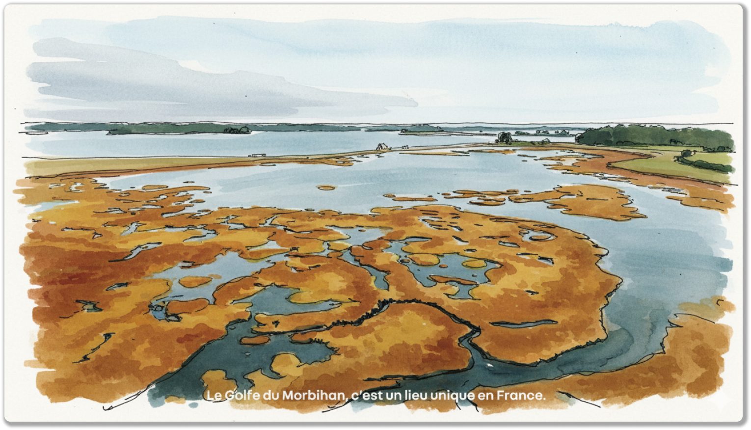 Quand le Morbihan devient odyssée, le film du Troll Enez 2025 - SWIMRUN ...